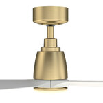 Kute Ceiling Fan by Fanimation | FPD8547BS | FAN953461