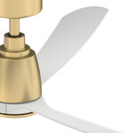 Kute Ceiling Fan by Fanimation | FPD8547BS | FAN953461