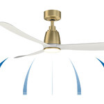 Kute Ceiling Fan by Fanimation | FPD8547BS | FAN953461