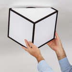 Cubist Ceiling Light by Norwell Lighting | 5397-MB-MA | NRW1011845