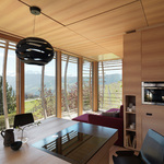 Tree Series S Pendant by B.Lux | BX701300U | BLX841200