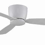 Embrace Hugger Ceiling Fan with Light by Fanimation | FPS7981BDZ ...