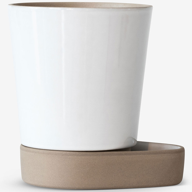 Sip Plant Pot by Case | CSE-106778 | CFU1235960