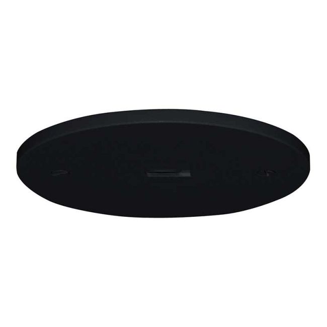 TL40 Halogen Monopoint Adapter by Juno Lighting | TL40 BL | JUN26507