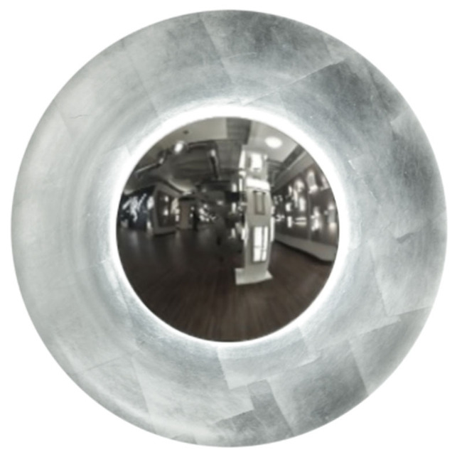 Blaze Wall/Ceiling Light by Modern Forms | WS-30618-SL | MFR415309