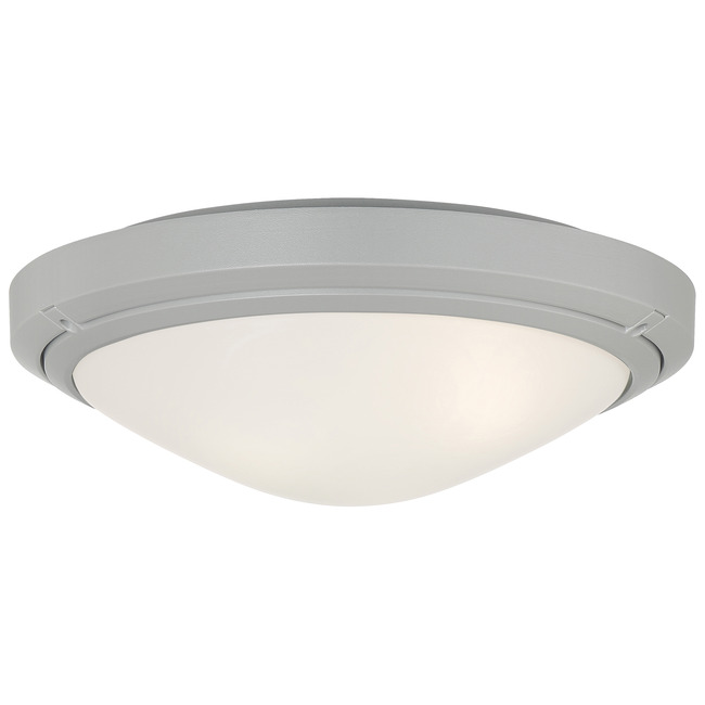 Oceanus Outdoor Ceiling Light Fixture by Access | 20356LEDDMGLP-SAT/FST ...