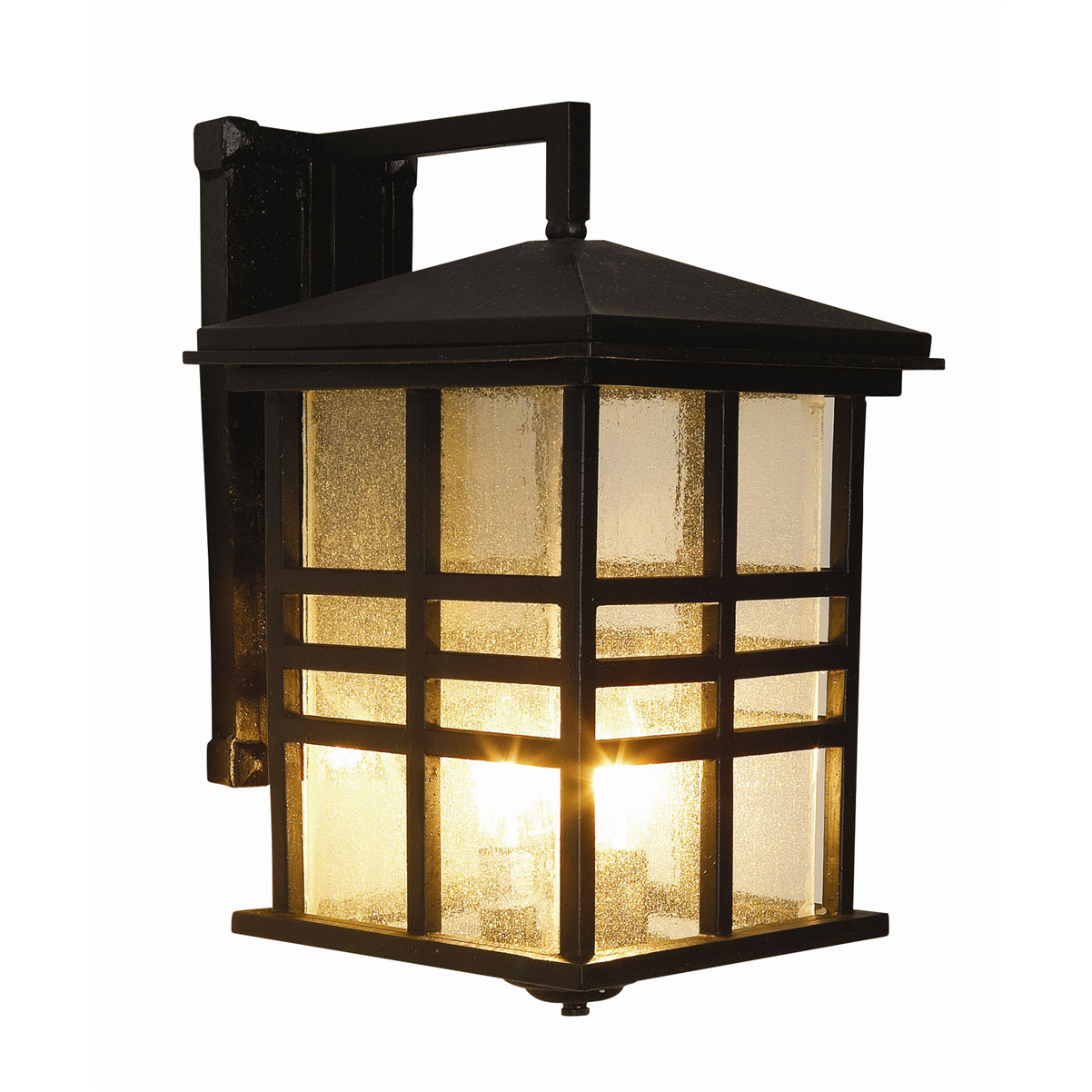 Rustic Craftsman Outdoor Coach Wall Lantern by Trans Globe | 4637 WB ...