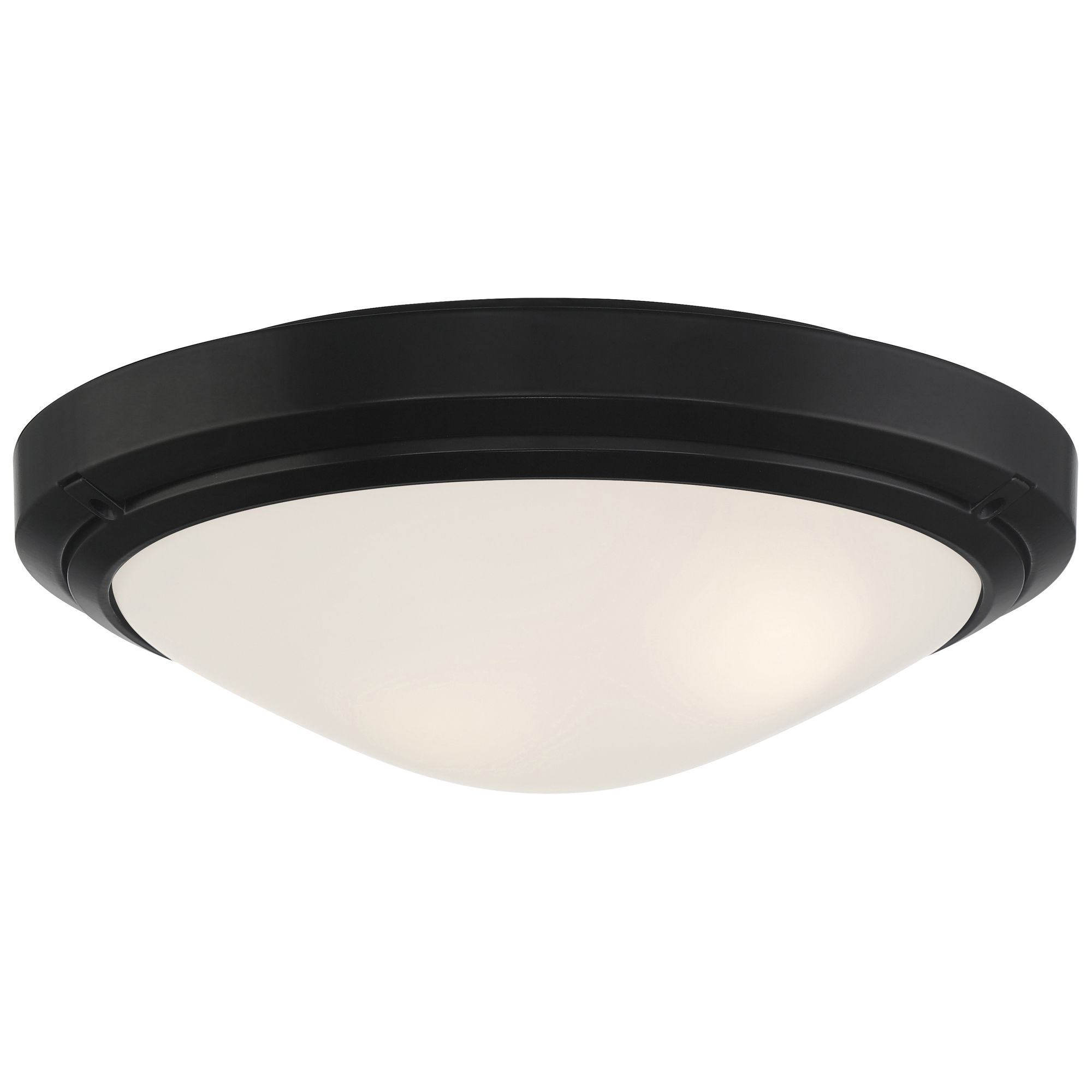 Oceanus Outdoor Ceiling Light Fixture by Access | 20356LEDDMGLP-MBL/FST ...