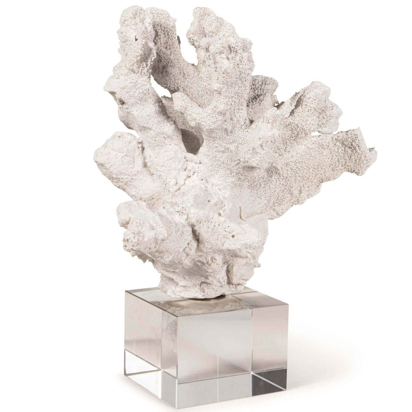 Triton Coral Object by Regina Andrew | 20-1380 | RGN1183083