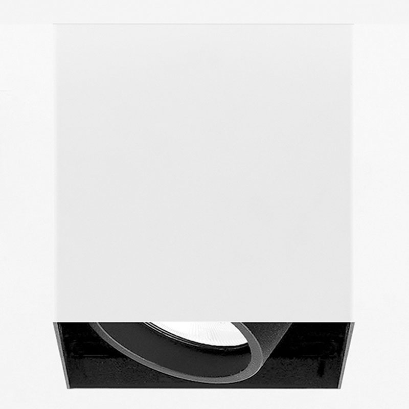 Mini PL 51 Adjustable Spot Ceiling Light by Davide Groppi | 1A3453403 ...