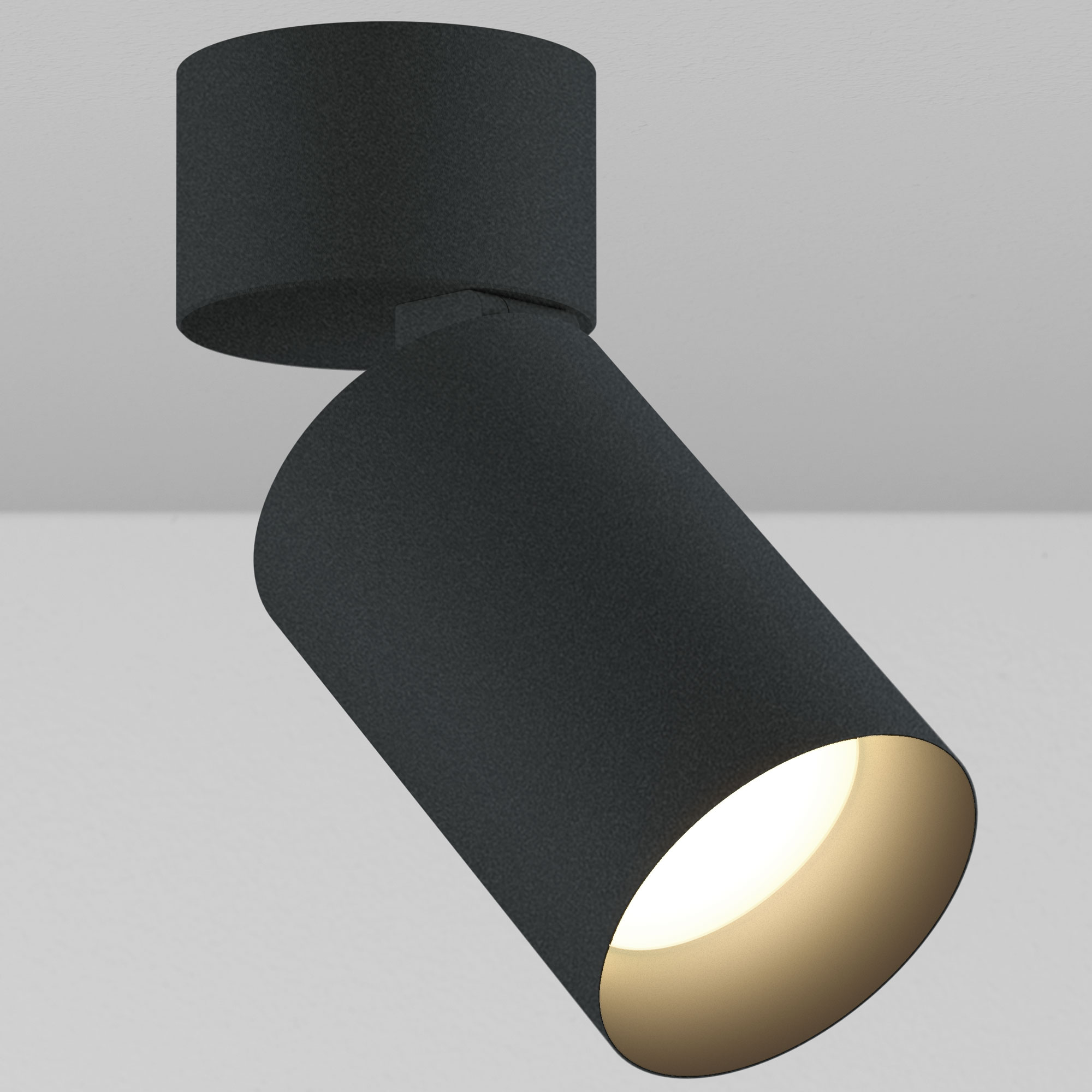 CY1 Cylinder Outdoor Adjustable Ceiling Light by Lucifer Lighting ...