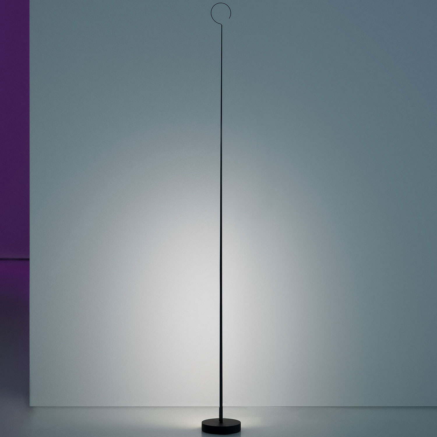 Anima Floor Lamp - Overstock by Davide Groppi | DS-1A1090403.30.06 ...