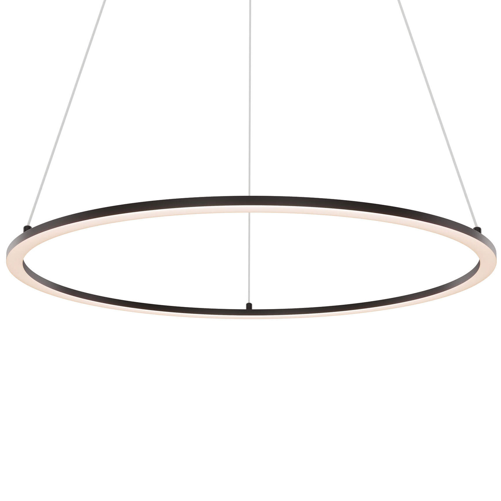 Circa Color-Select Pendant by DALS Lighting | RGPD24-CC-BK | DLS1374688