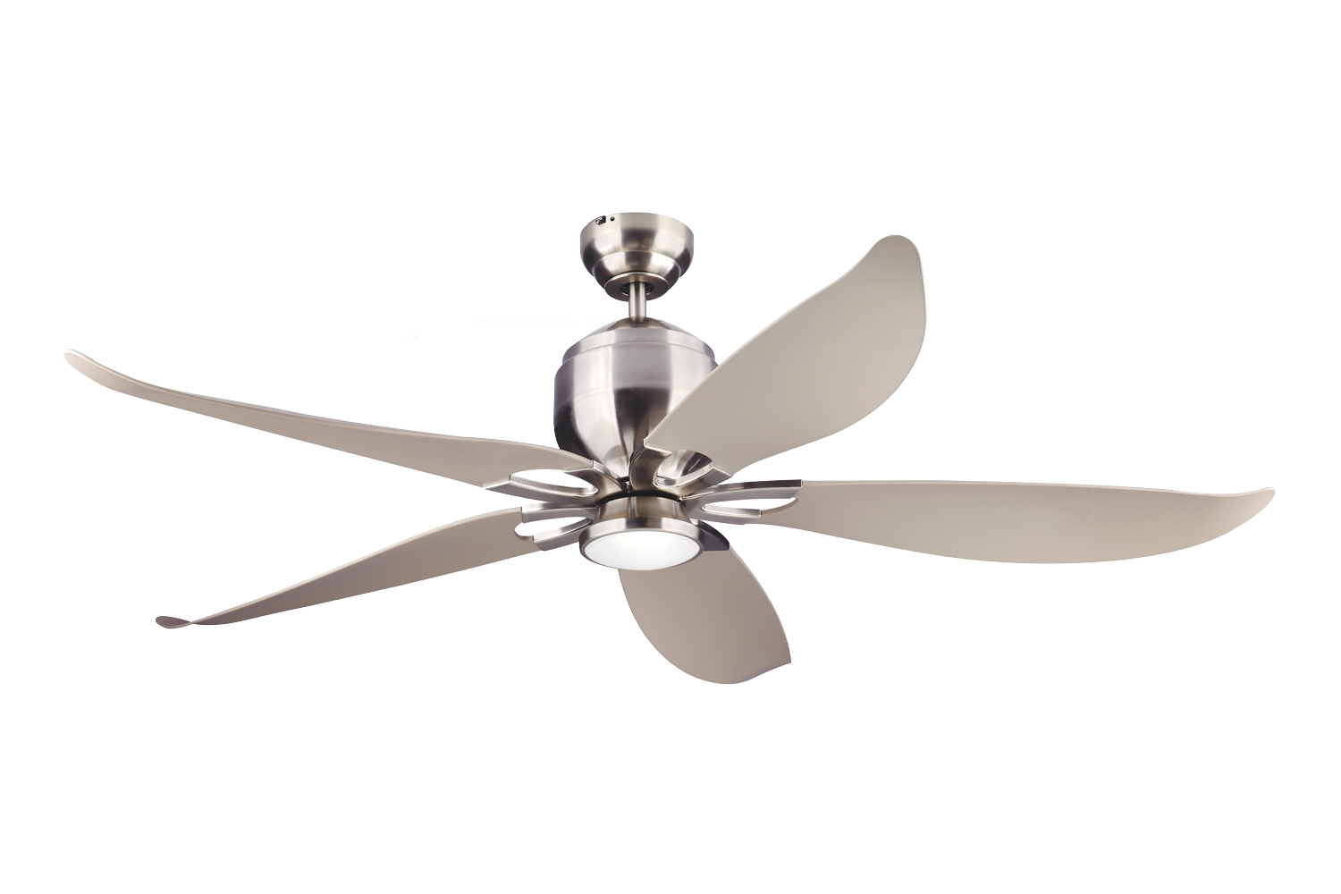 Lily Ceiling Fan with Light by Monte Carlo | 5LLR56BSD-V1 | MTC340801