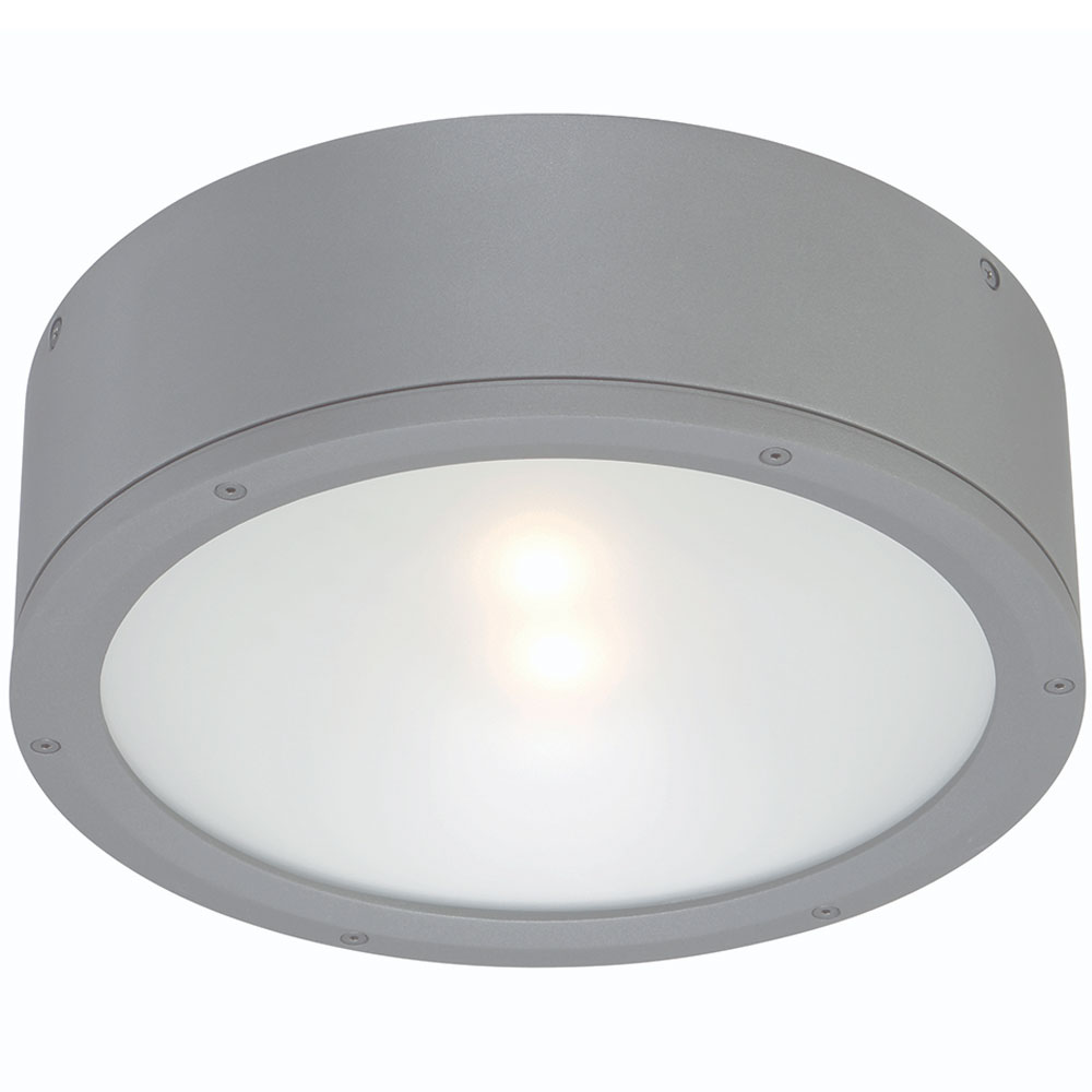 Tube Round Outdoor Wall / Ceiling Light by WAC Lighting | FM-W2612-GH ...