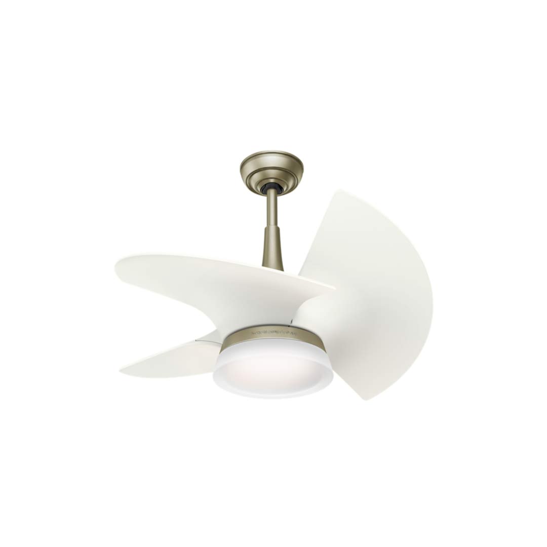 12 Volt Ceiling Fan With Light | Shelly Lighting