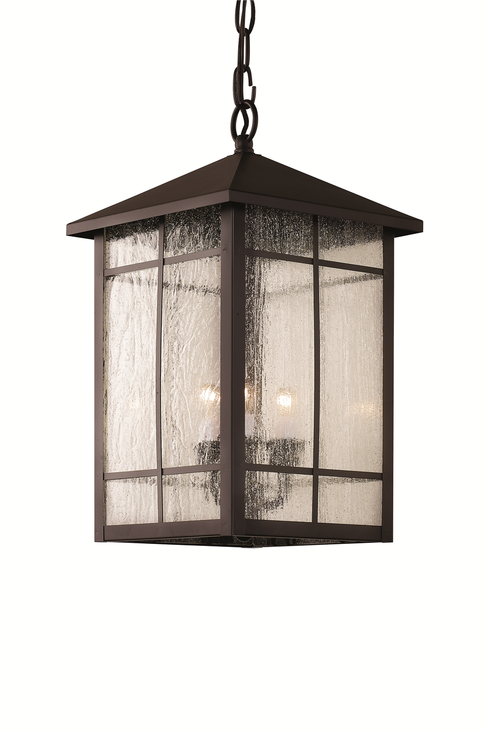 Atrium Window Outdoor Pendant by Trans Globe | 40344 ROB