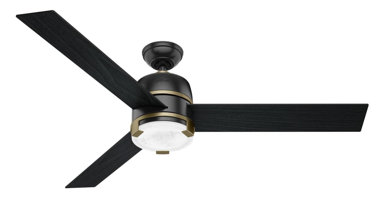 Hunter Ceiling Fans With Dc Motors | Shelly Lighting