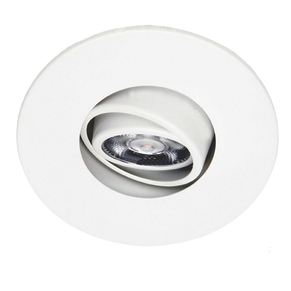 Designer 4IN RD Double Gimbal Adjustable Trim by Beach Lighting | R4 ...