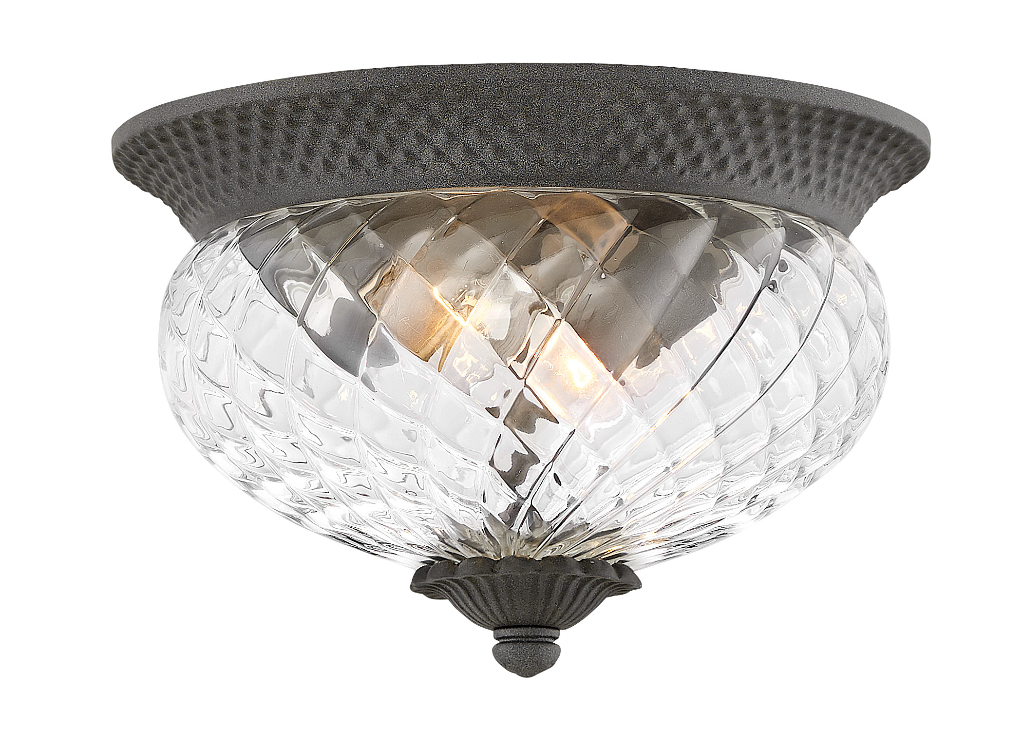 Pineapple 120V Outdoor Flush Ceiling Mount by Hinkley Lighting | 2128MB ...