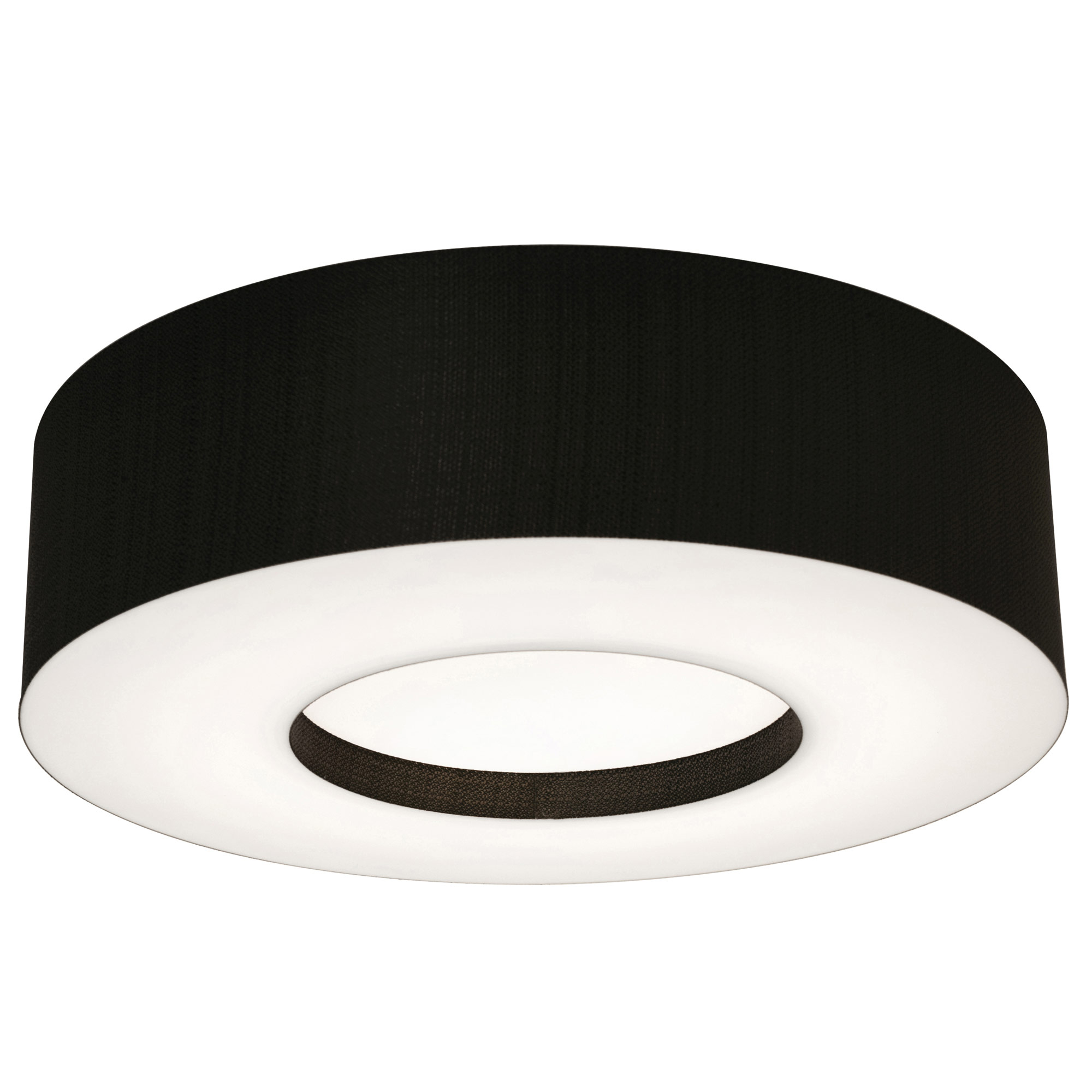 Montclair Ceiling Light by AFX | MCF1932LAJUD-BK | AFX870170