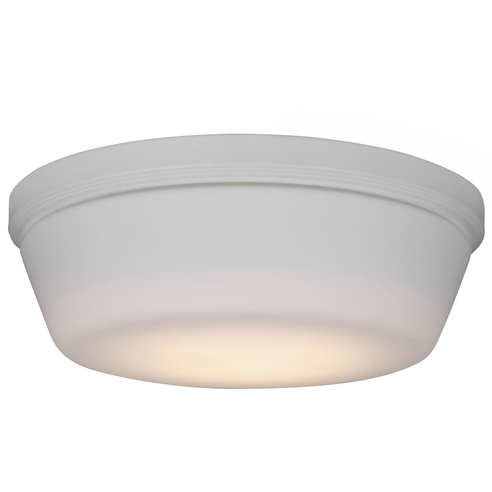 MC261 Universal LED Fan Light Kit by Generation Lighting | MC261RZW ...