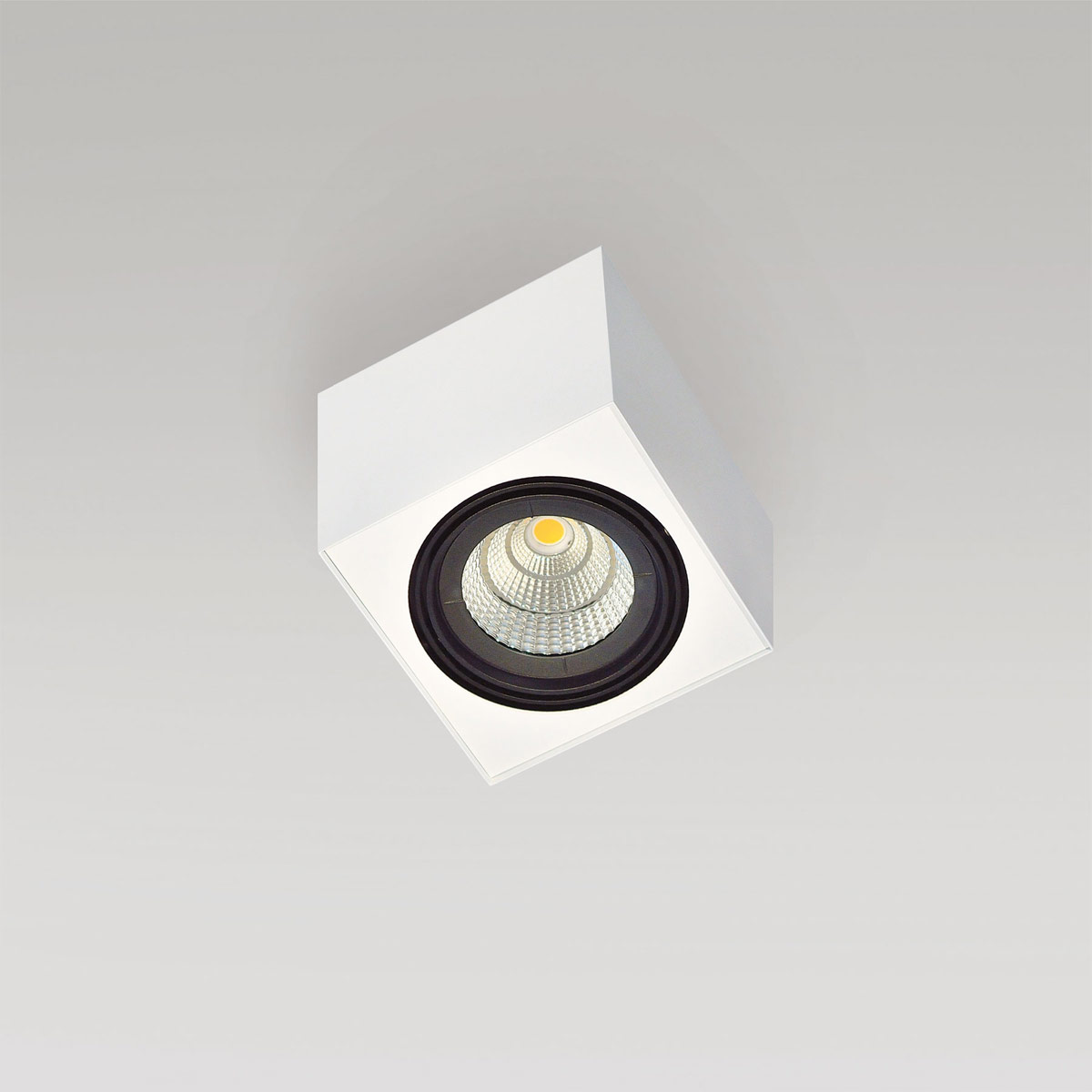Box 2C 1 Light LED - Open Box by Raise Lighting | OB-LUC-210010135