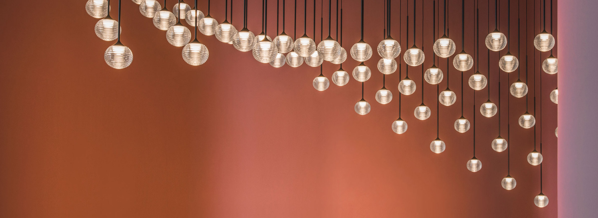 Algorithm | Lightology